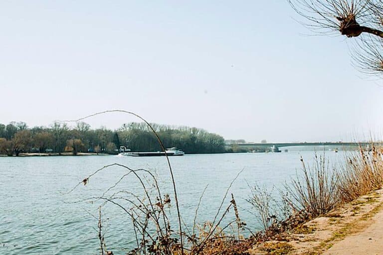 ᑕ ᑐ Durch welche Bundesländer fließt der Rhein? ☀ - ☀ - Deutschlandreise ☀